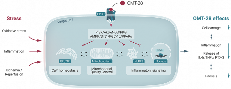 OUR SCIENCE – OMEICOS